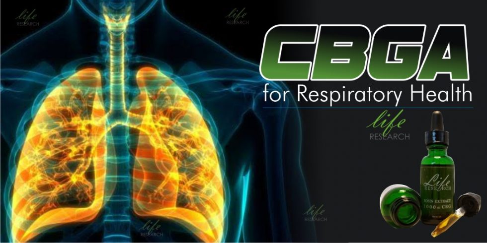 CBGA for Respiratory Health | Life Research